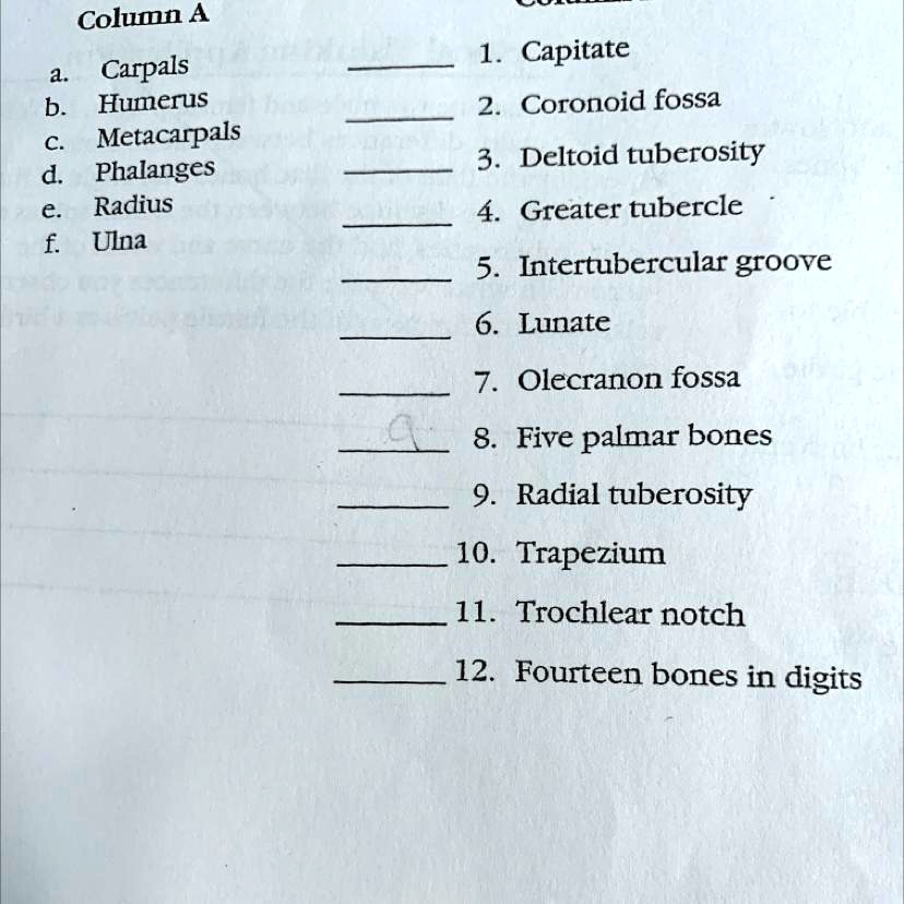 SOLVED: 'Please help me this is really hard to understand it’s a ...
