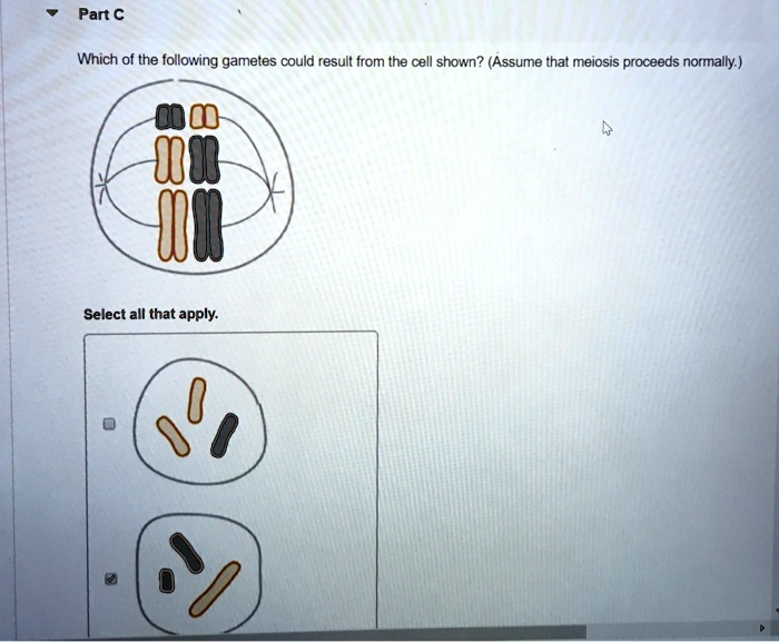 Part C Which of the following gametes could result from the cell shown ...