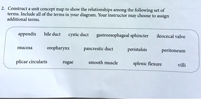 Construct a unit concept map to show the relationships among the ...
