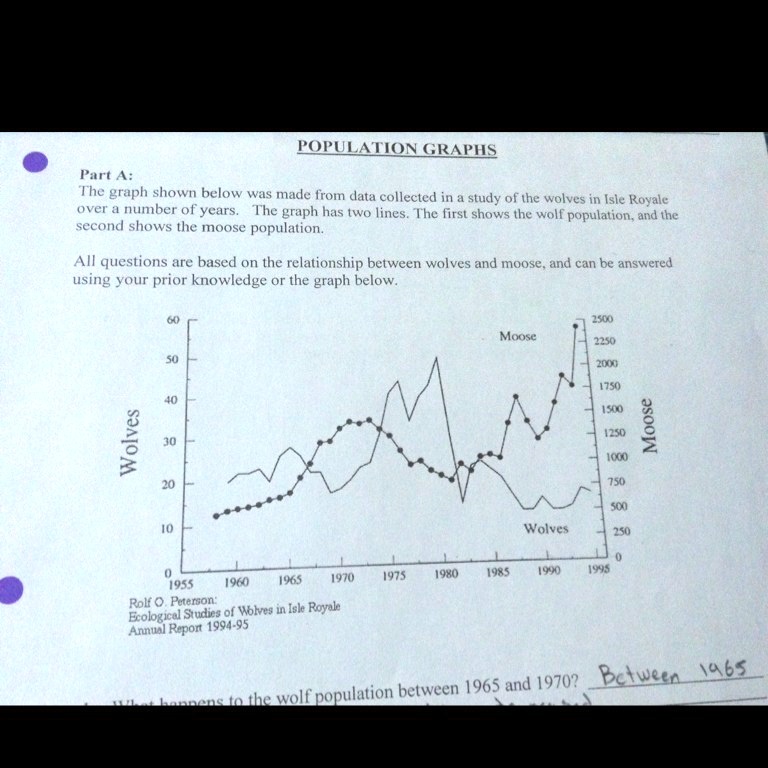 SOLVED: 'HELP ASAP PLEASE Look at the graph what is the relationship ...