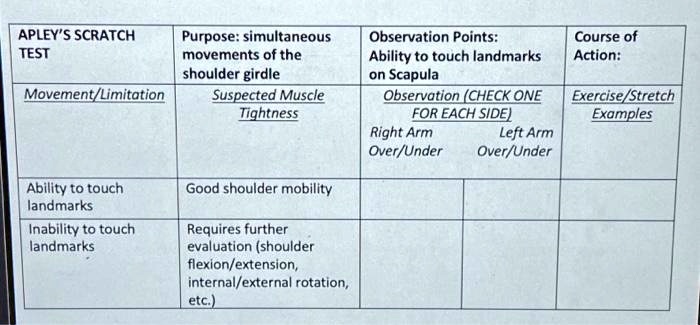 texts apleys scratch test movementlimitation ability to touch landmarks ...