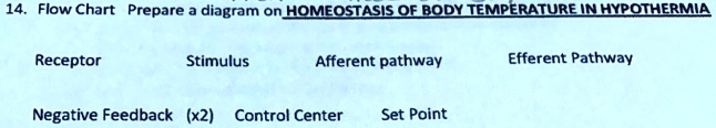 SOLVED: Flow Chart: Homeostasis of Body Temperature in Hypothermia Receptor Stimulus Afferent ...