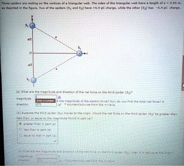 SOLVED:Three spiders are resting on the vertices of a triangular web ...