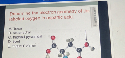 SOLVED: Determine the electron geometry of the labeled oxygen in ...