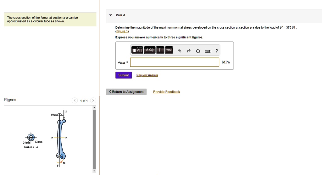 the cross section of the femur at section a a can be approximated as a ...