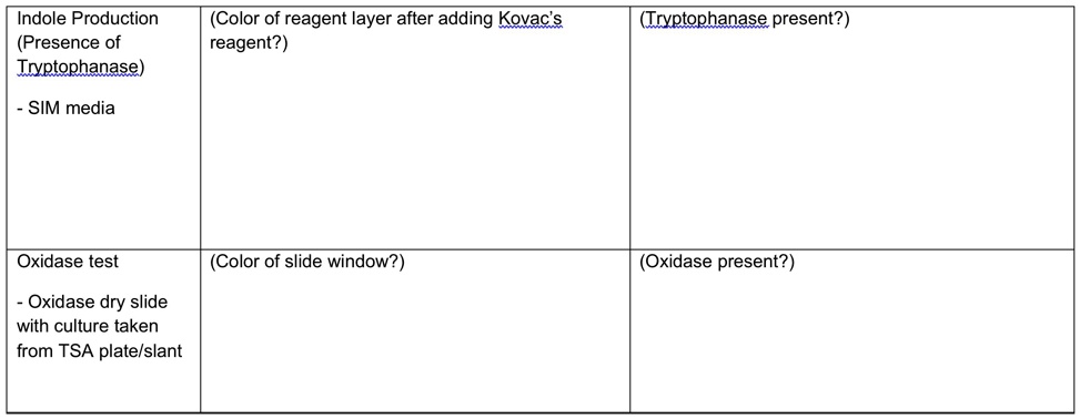 SOLVED: Indole Production (Presence of Tryptophanase) (Color of reagent ...