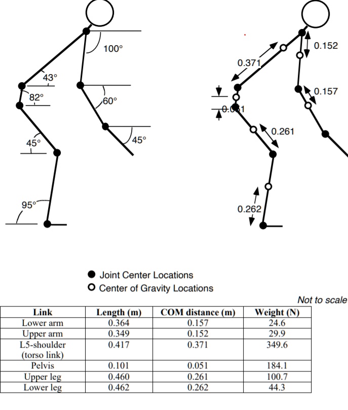 SOLVED: An individual is positioned with both feet on level ground while lifting/pulling a piece ...