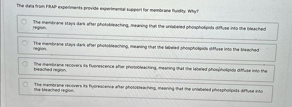 The data from FRAP experiments provide experimental support for ...