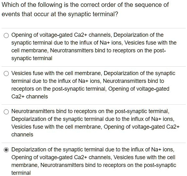 SOLVED: Which of the following is the correct order of the sequence of events that occur at the ...