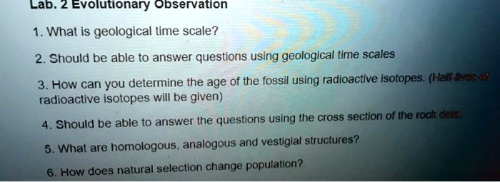 SOLVED: Lab: 2 Evolutionary Observation What is geological time scale ...