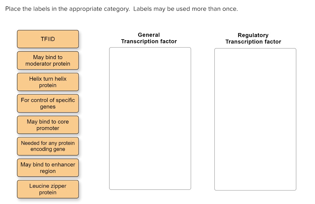 SOLVED: Place the labels in the appropriate category: Labels may be ...