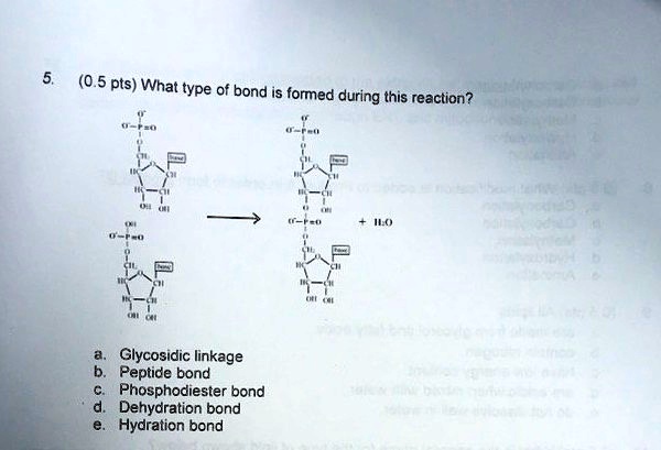 SOLVED: (0,5 pts) Wnat type of bond is formed during this reaction ...