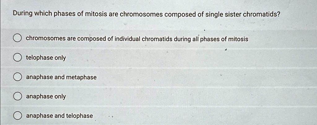 During which phases of mitosis are chromosomes composed of single ...