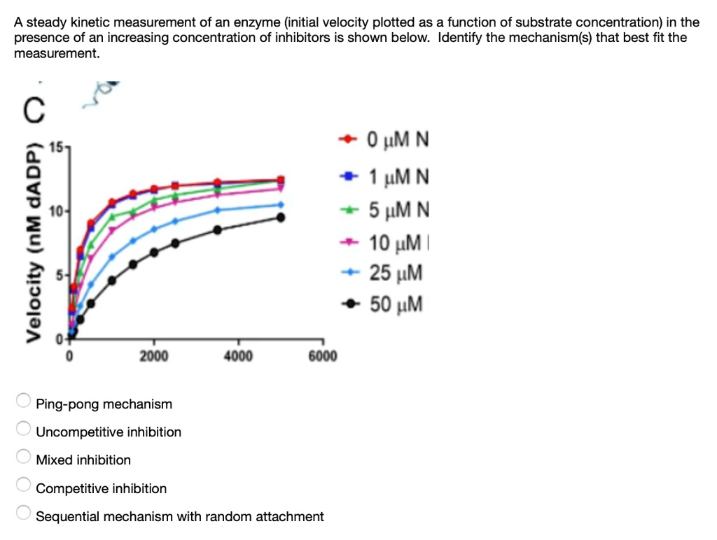 SOLVED: A steady kinetic measurement of an enzyme (initial velocity ...