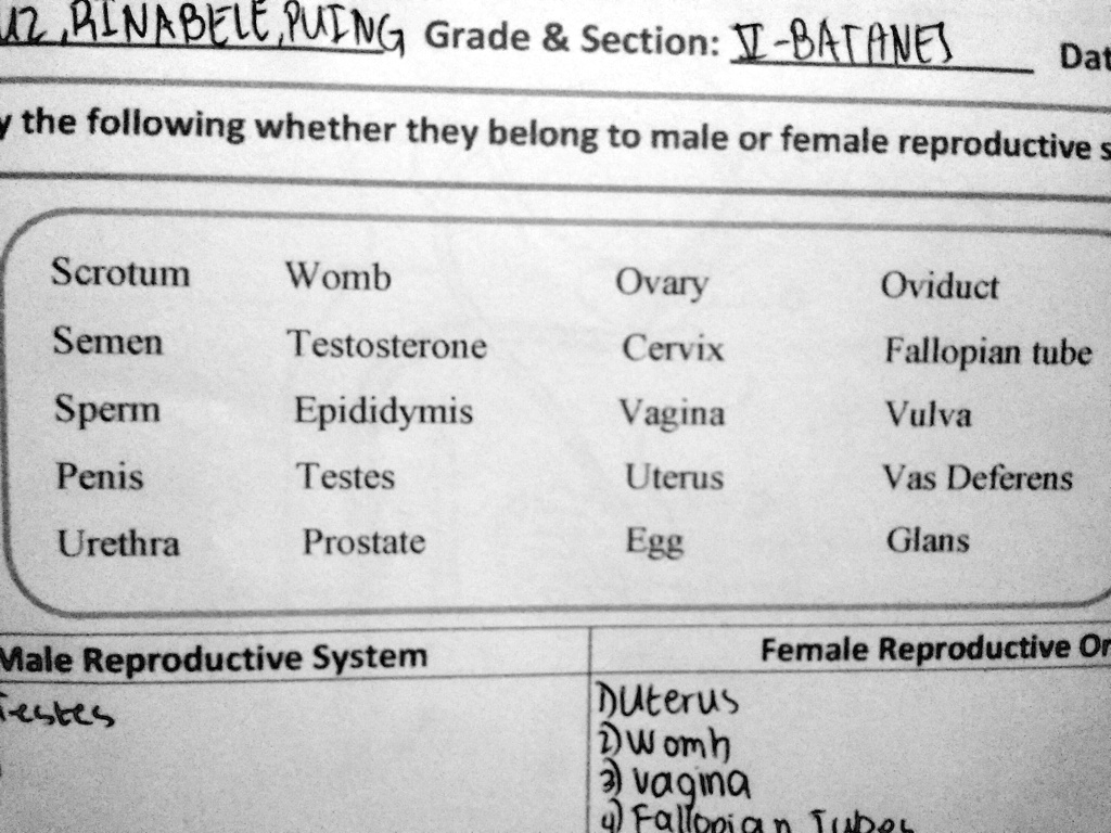 SOLVED: Male reproductive system or female reproductive system ...