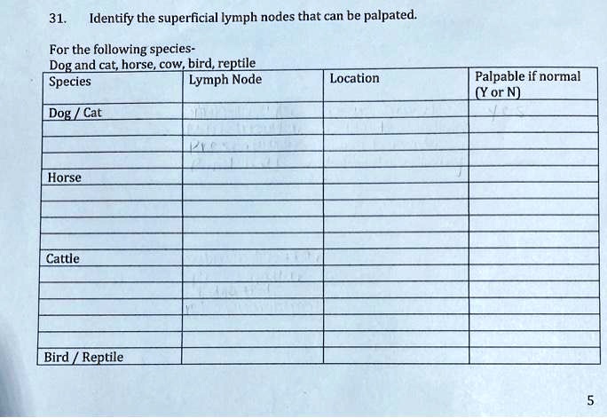 31. Identify the superficial lymph nodes that can be...