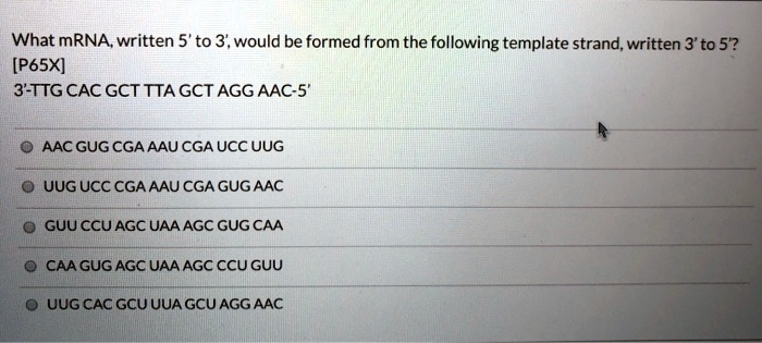 SOLVED: What mRNA, written 5' to 3,would be formed from the following ...