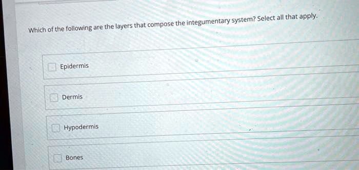 SOLVED:system? Select all that apply are the layers that compose the integumentary Which ofthe ...