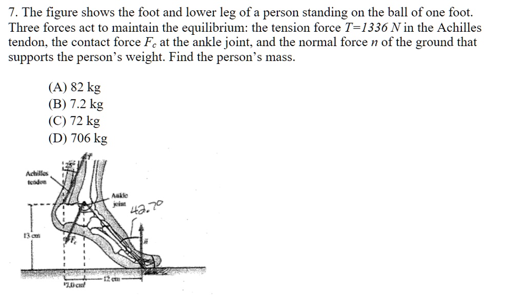 7 the figure shows the foot and lower leg of a person standing o the ...