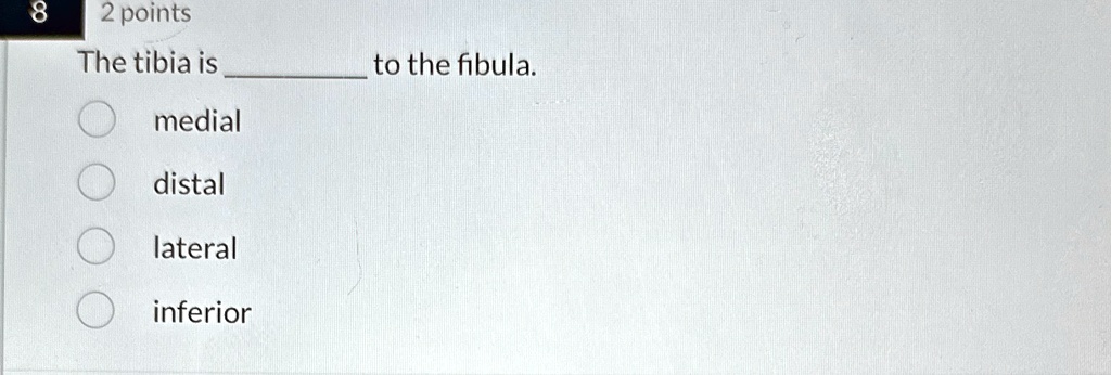 2 points the tibia is to the fibula medial distal lateral inferior 8 ...