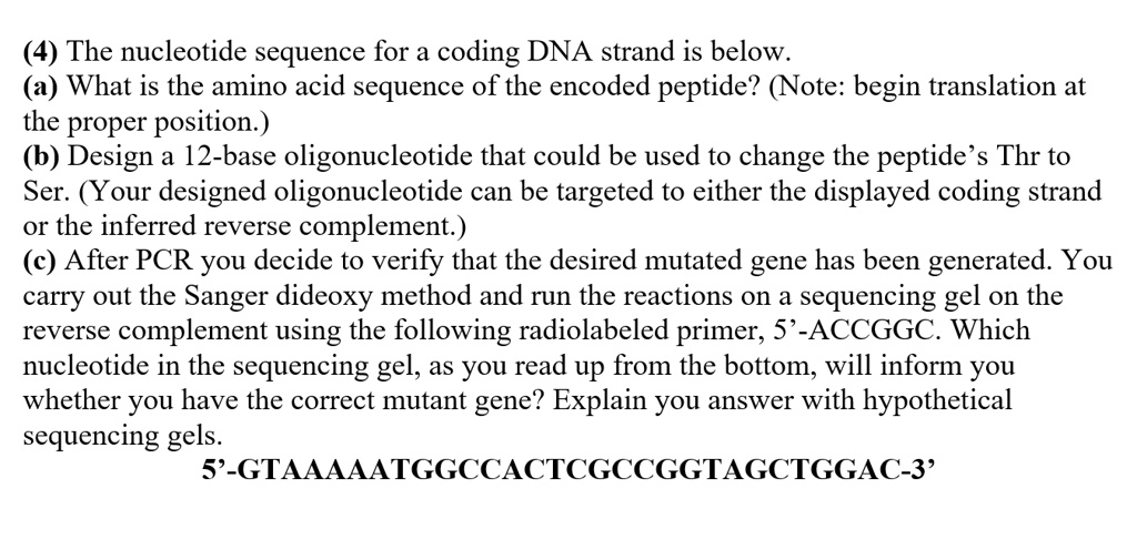 SOLVED: The nucleotide sequence for a coding DNA strand is below. What is the amino acid ...