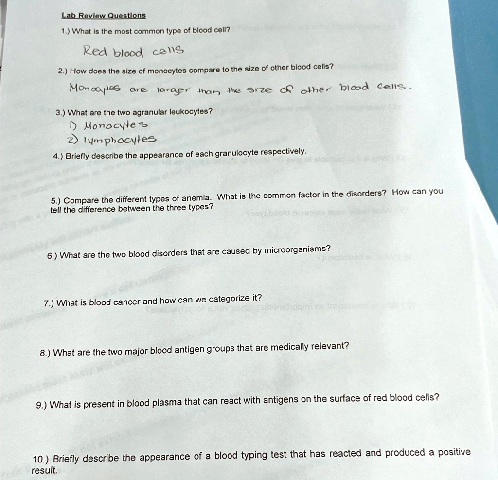 SOLVED: Lab Review Questions 1.) What is the most common type of blood ...