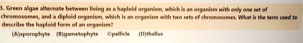 3 green algae alternate between living as 3 haploid organism which is ...