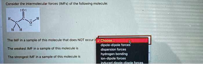 SOLVED: Consider the intermolecular forces (IMFs) of the following ...