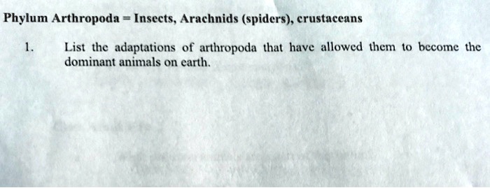SOLVED:Phylum Arthropoda Insects, Arachnids (spiders), crustaceans List ...