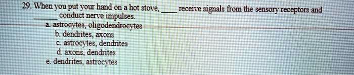29 wben you put your hand on a hot stove conduct nerve impulses ...