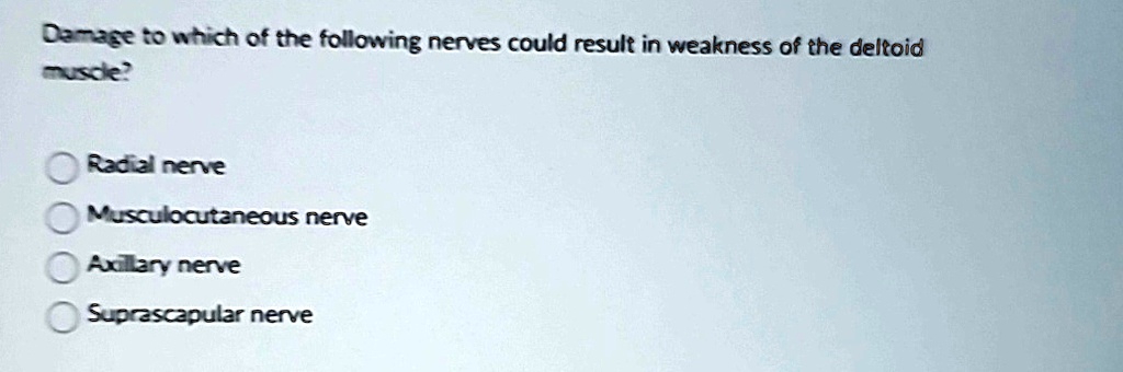 Damage to which of the following nerves could result in weakness of the ...