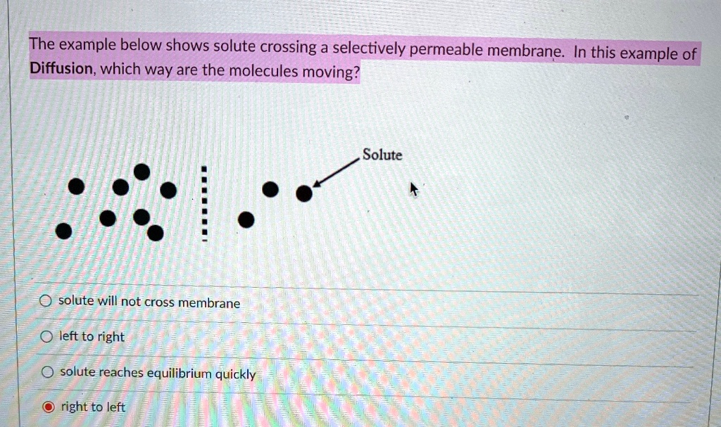 the example below shows solute crossing a selectively permeable ...
