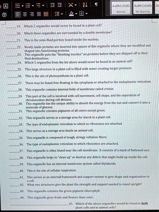 3-6-9.44A2 | 7a4h 4-4-E- AaBbCcDdEi AARbCcDdEi Jorml Spacinj Which ...