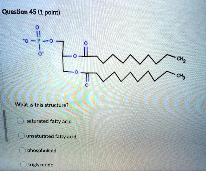 SOLVED: Question 45 (1 point) Ch3 CHa What is this structure? saturated ...
