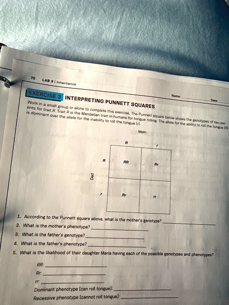 70 lab 3 inheritance name date exercise 3 interpreting punnett squares work in a small group or ...