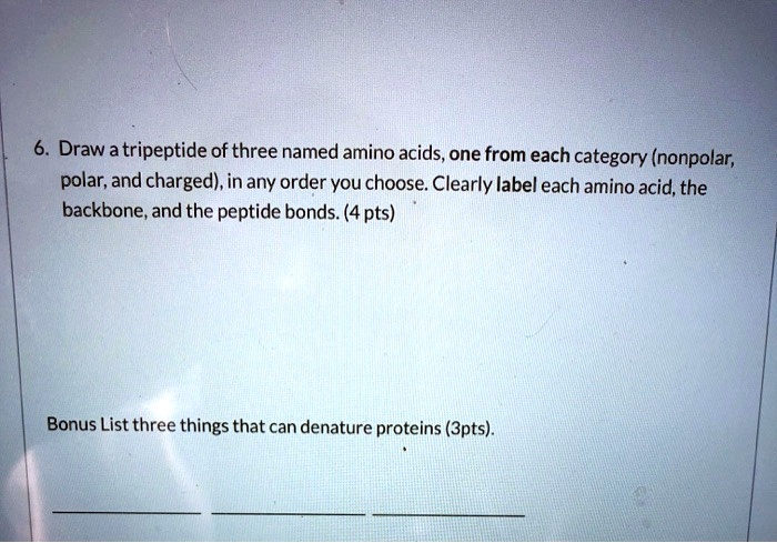 SOLVED: Draw a tripeptide of three named amino acids, one from each ...