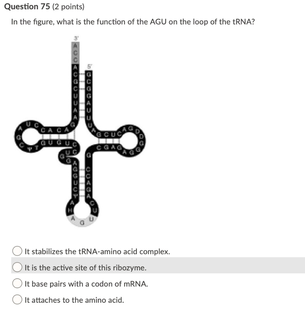 Question 75 (2 points) In the figure; what is the function of the AGU ...