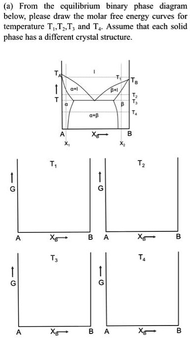 SOLVED: From the equilibrium binary phase diagram below, please draw ...