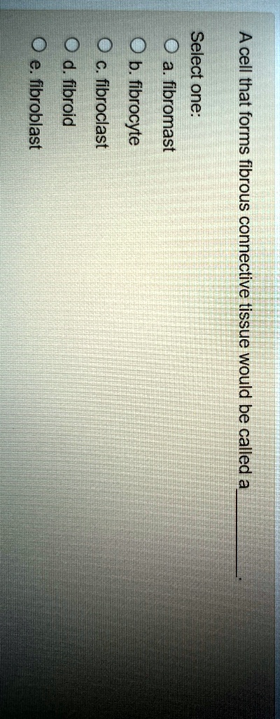 A cell that forms fibrous connective tissue would be called a Select ...