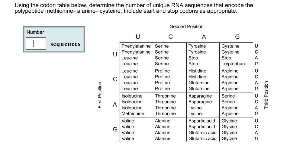 SOLVED: Using the codon table below, determine the number of unique RNA sequences that encode ...