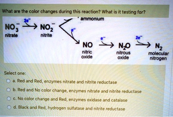 what are the color changes during this reaction what is it testing for ...