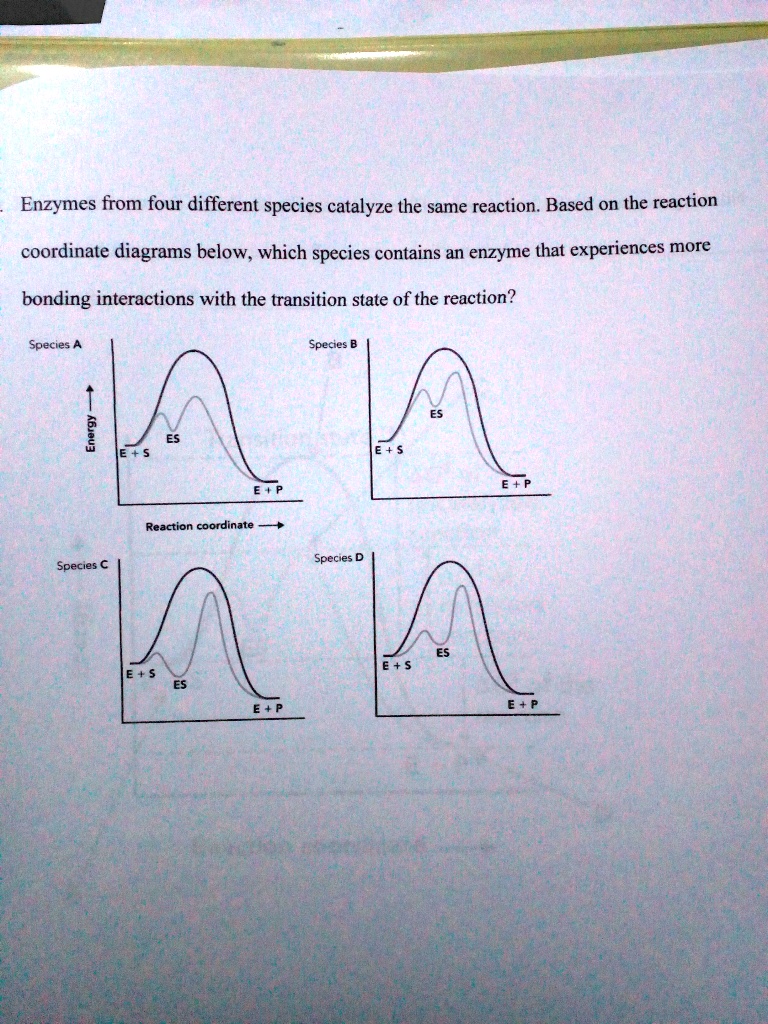 SOLVED:Enzymes from four different species catalyze the same reaction. Based on the reaction ...