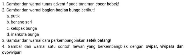 SOLVED: tolong bantuin kak? Gambar dan warnai tunas adventif pada ...