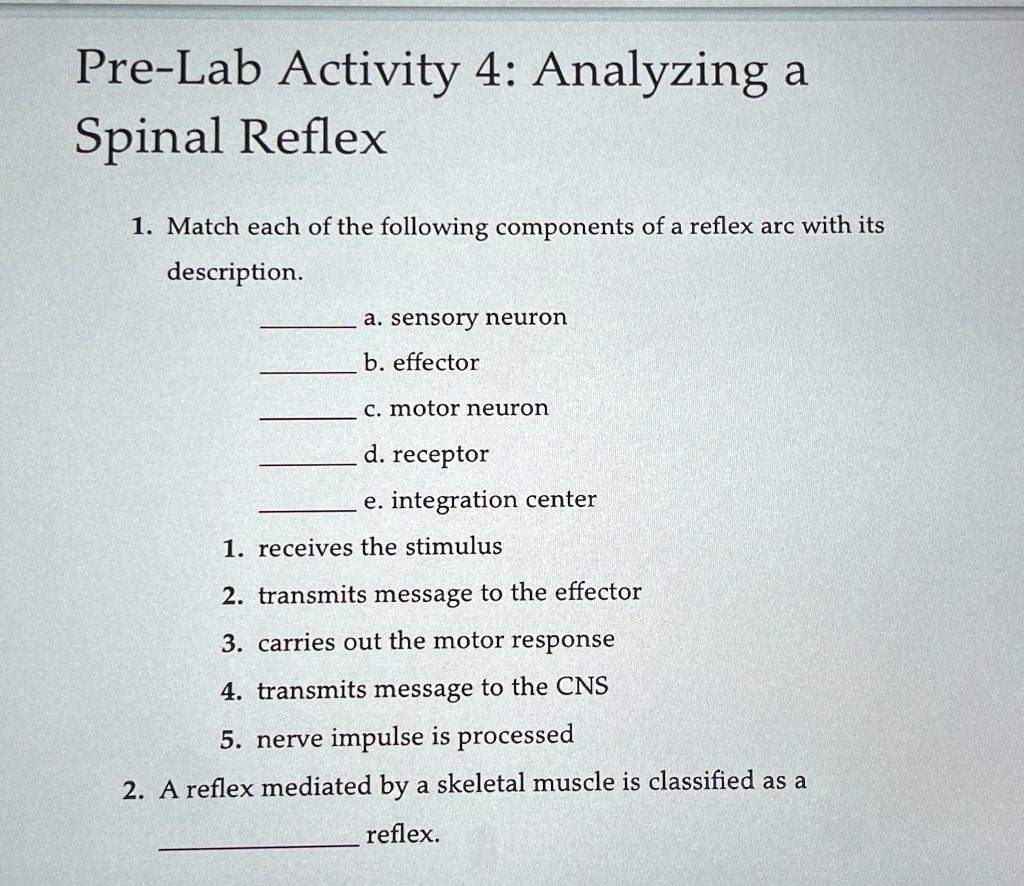Pre-Lab Activity 4: Analyzing a Spinal Reflex 1. Match each of the ...