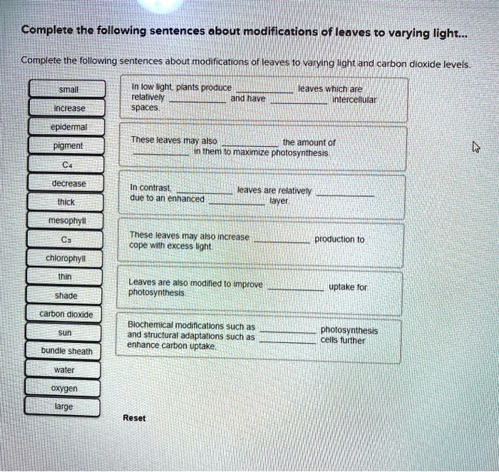 complete the following sentences about modificarions of leaves to ...