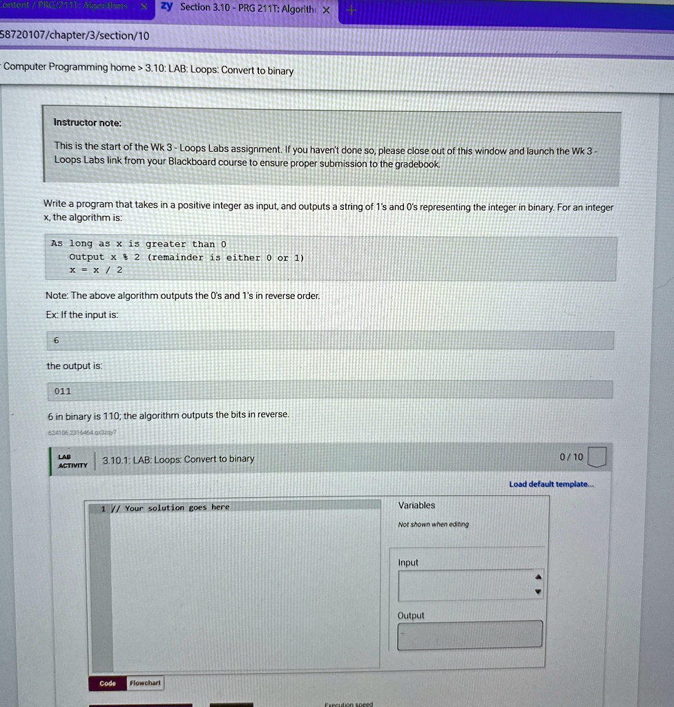 computer programming home 310 lab loops convert to binary instructor note this is the start of ...