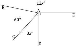 SOLVED: 'Four rays meet at a common endpoint. In a complete sentence ...