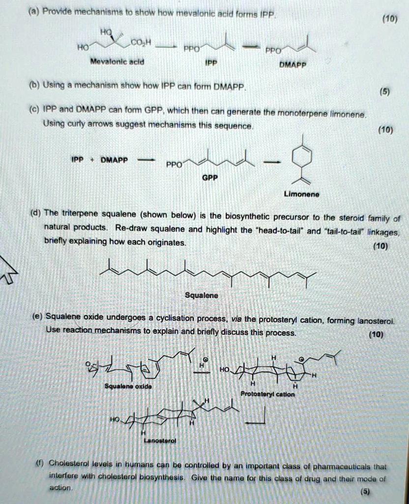 SOLVED: (a) Provide mechanisms to show how mevalonic acid forms ipp (10 ...