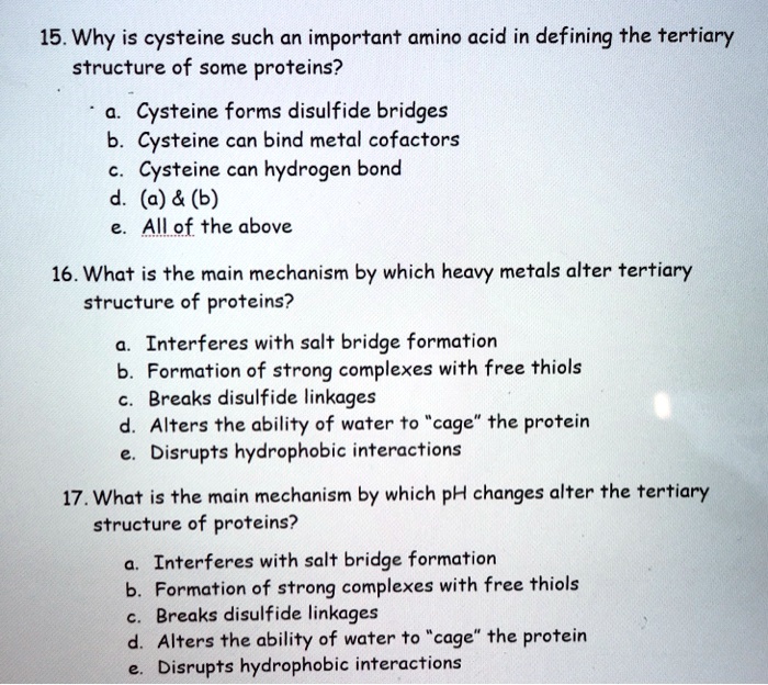 SOLVED: 15. Why is cysteine such an important amino acid in defining ...