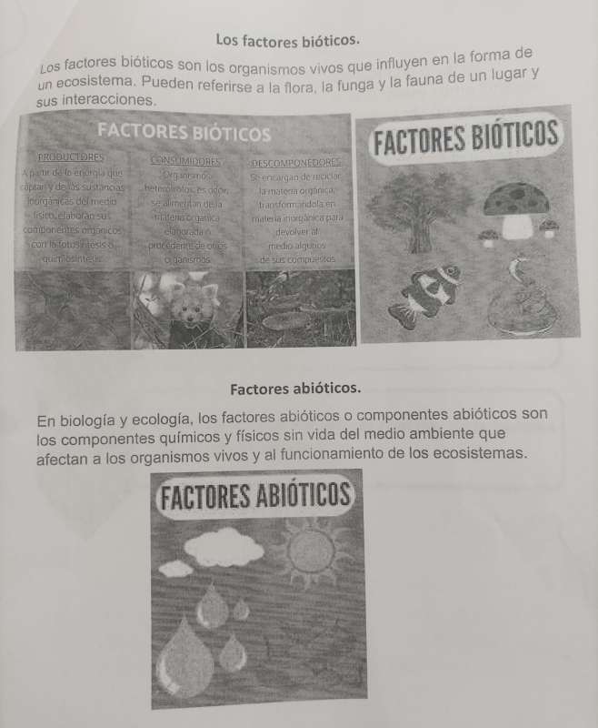 Los factores bióticos. Los factores bí?ticos son los organismos vivos que influyen en la forma ...